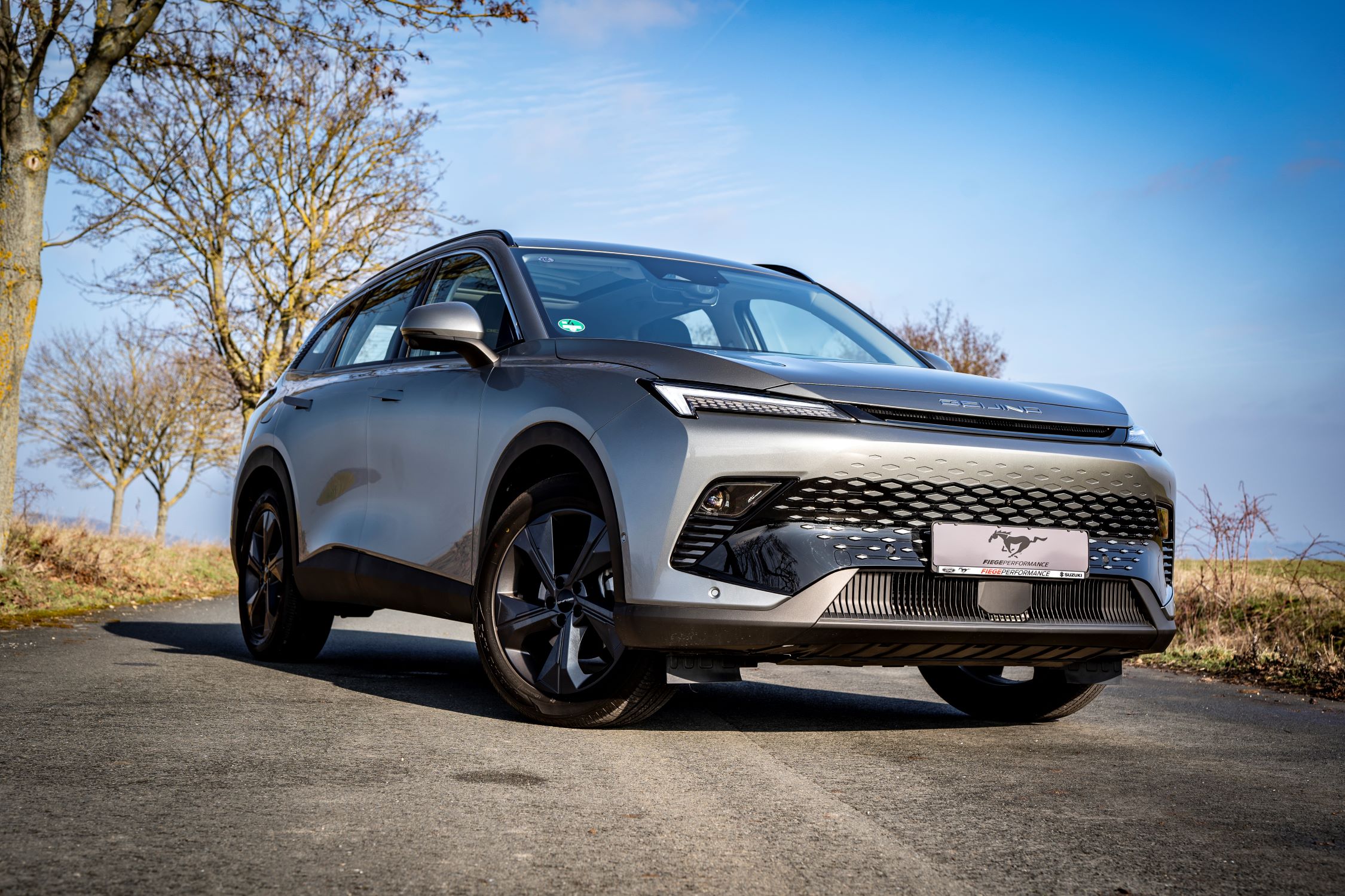 FIEGEPERFORMANCE - BAIC Beijing X55 Luxury