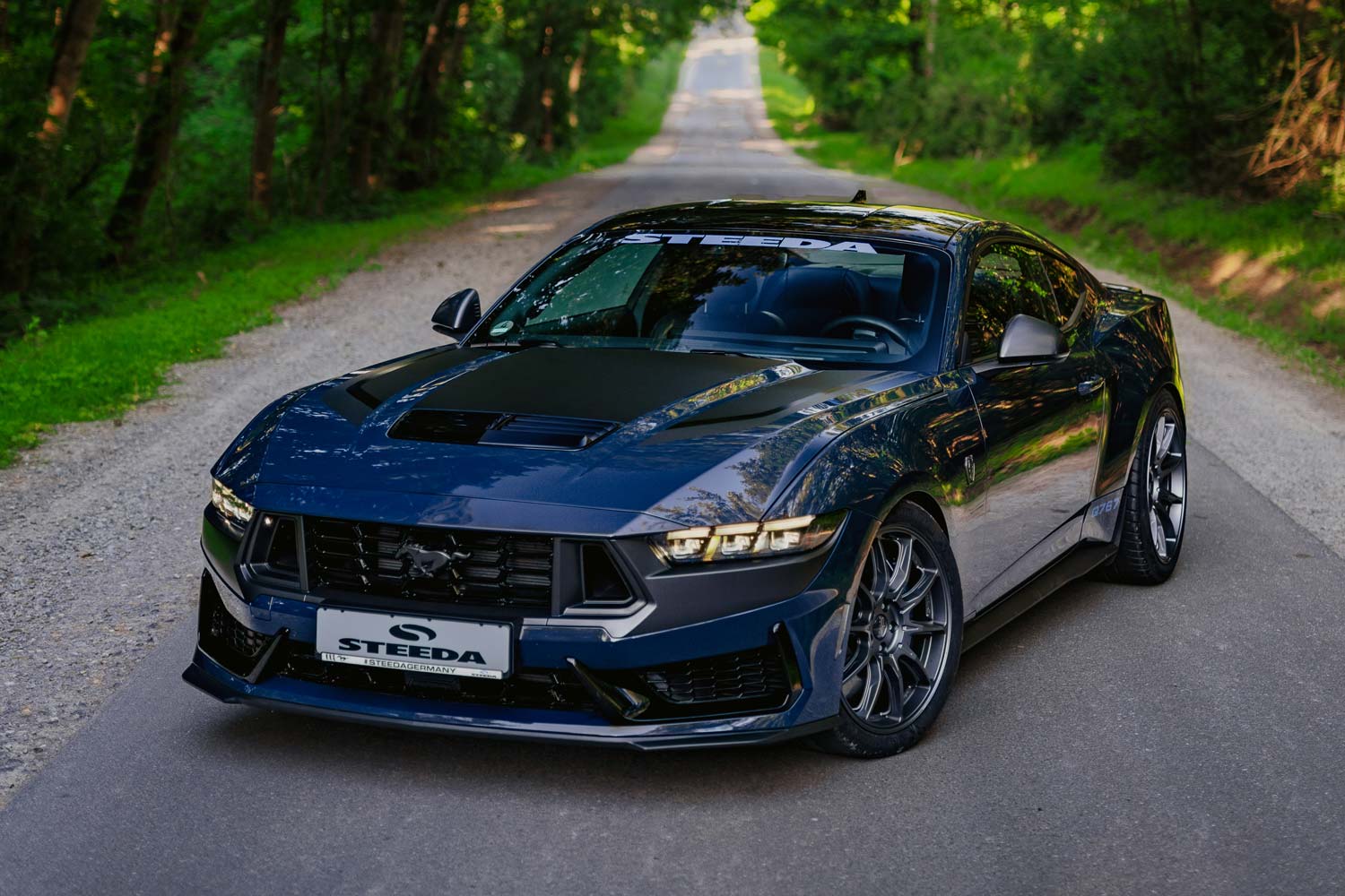 FIEGEPERFORMANCE - STEEDA Q767 Dark Horse - Limited Edition